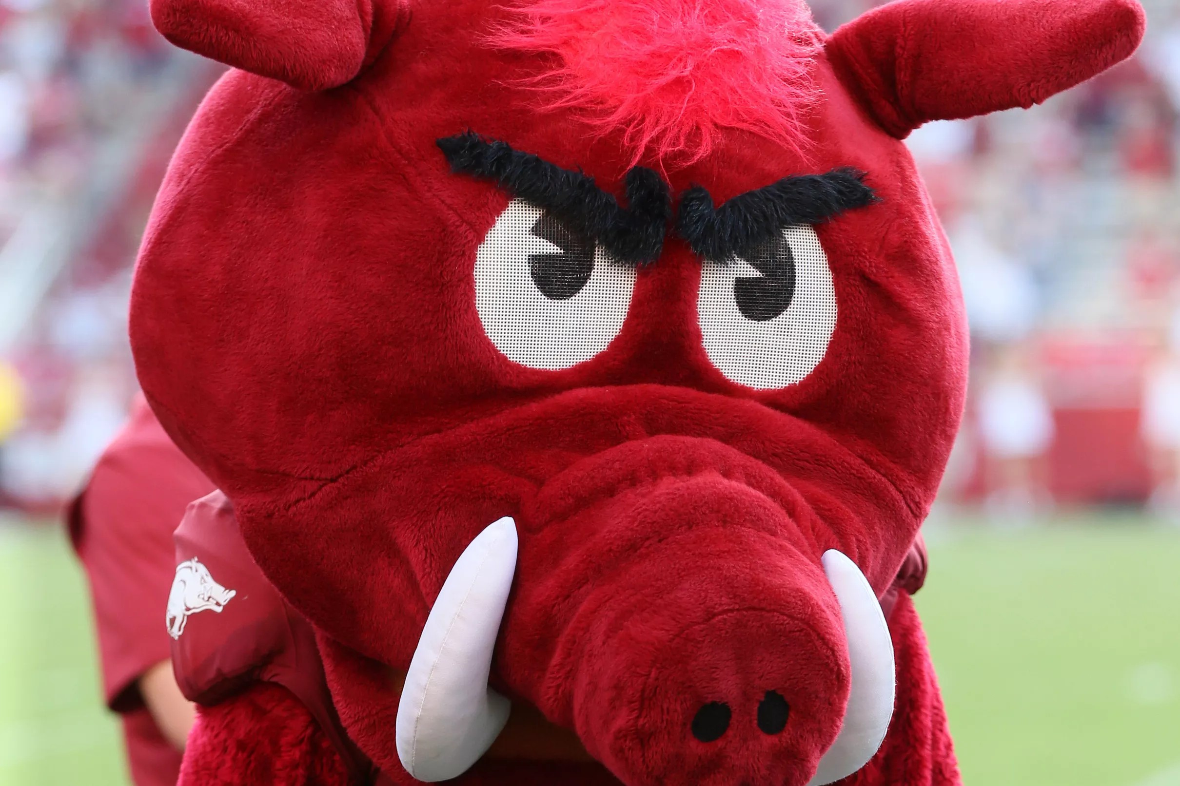 First Glance: Arkansas Razorbacks