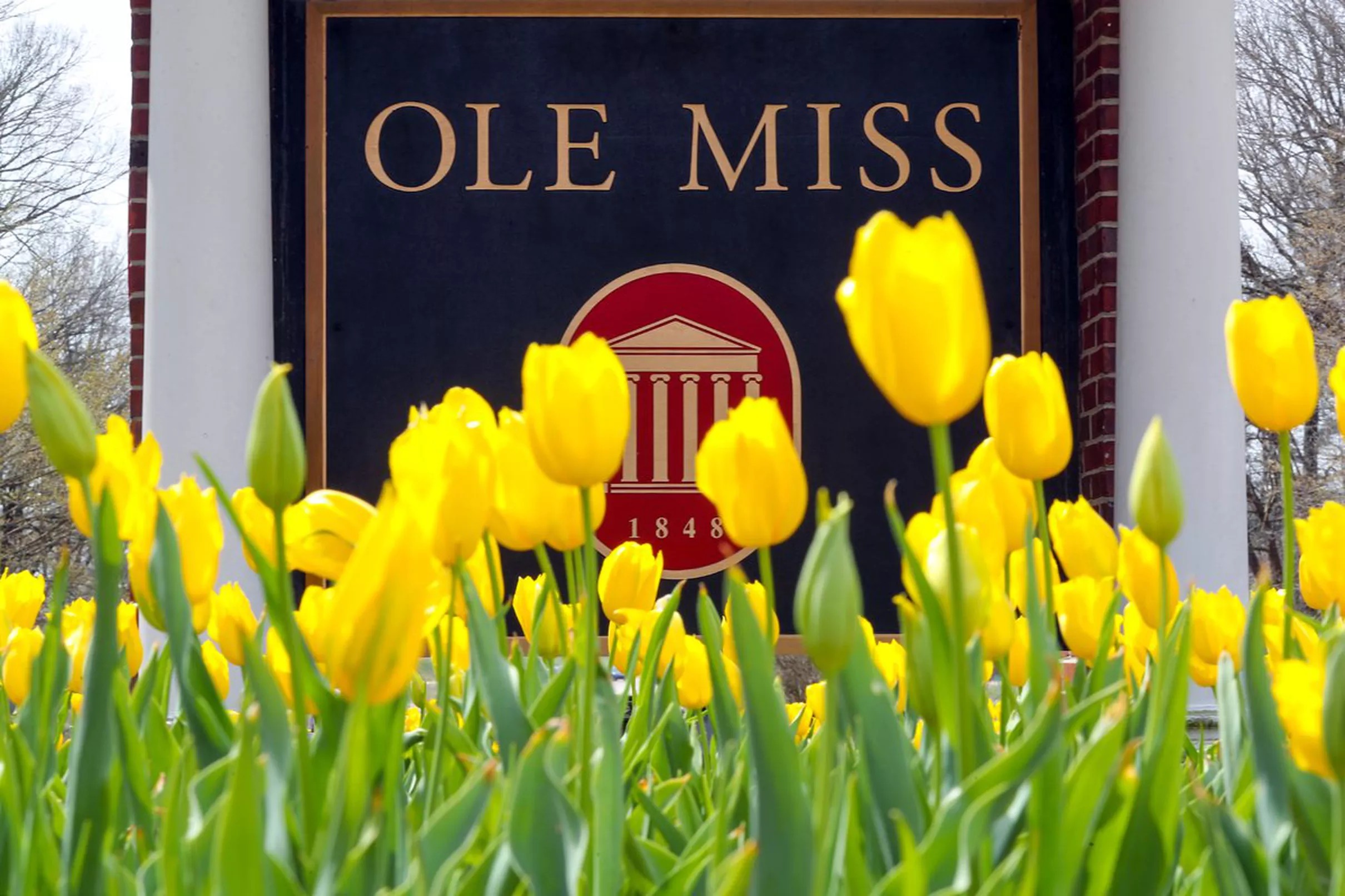Podcast Rebellion: Chase Parham talks Ole Miss chancellor search and ...