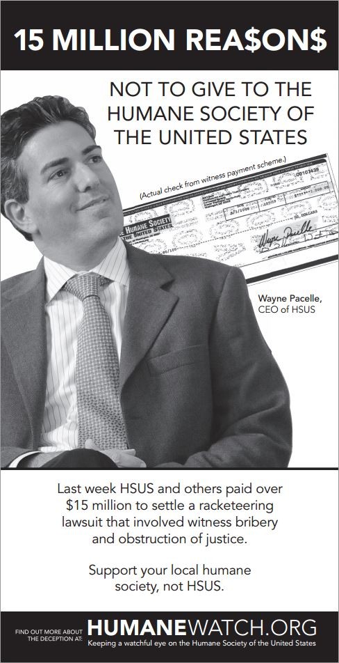 Video: Watch Mississippi State Linebacker Gerri Green Stick His Hand ...