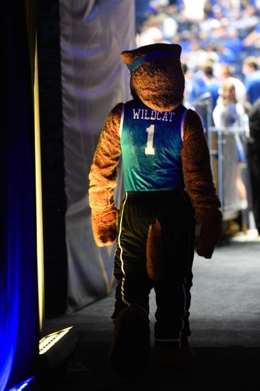 History of the Kentucky Wildcats: The Wildcat