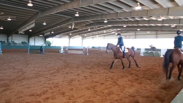 Baylor Women’s Equestrian team defeats Georgia