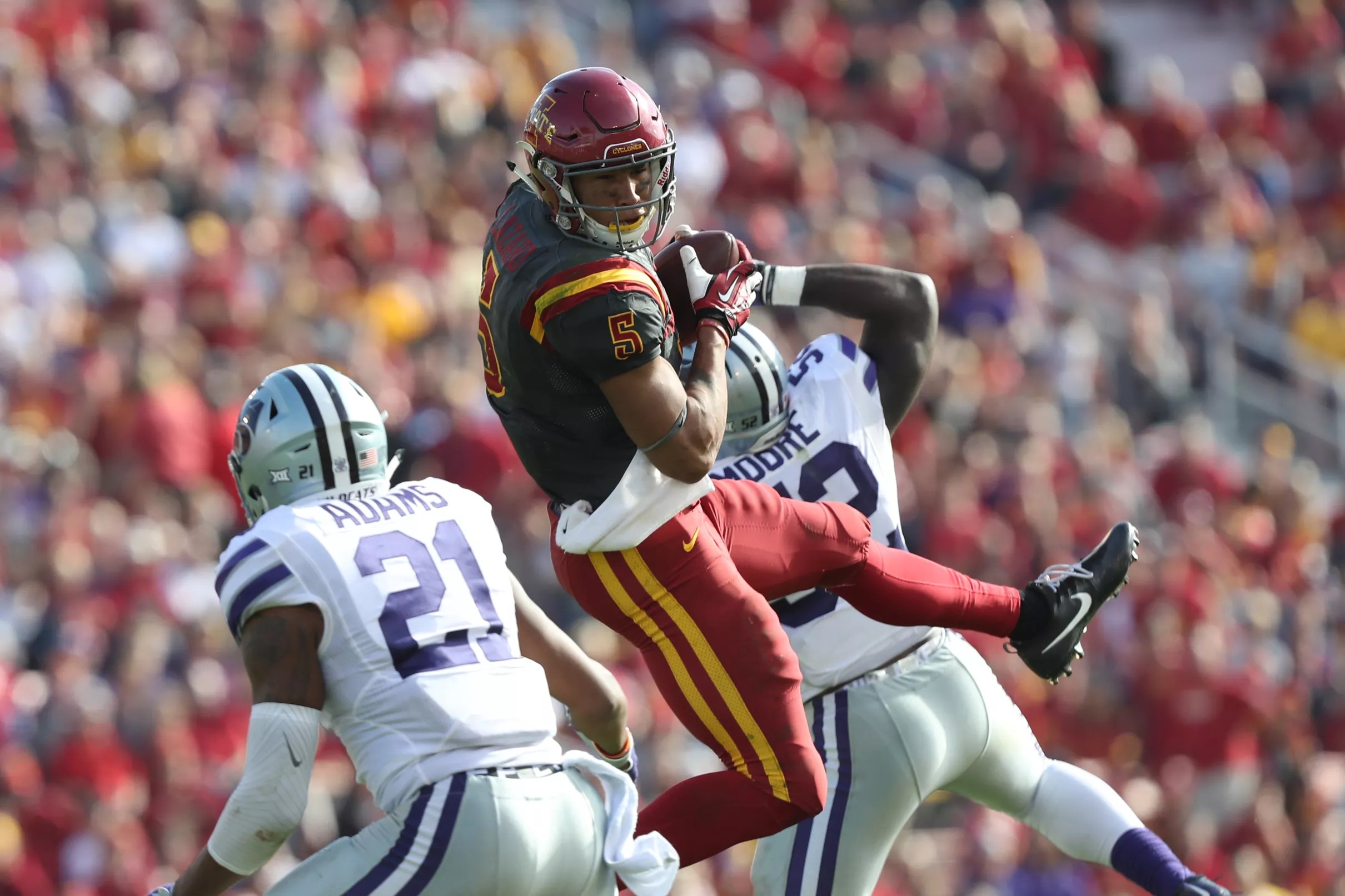 WRNL Interrogates: Bring On the Cats