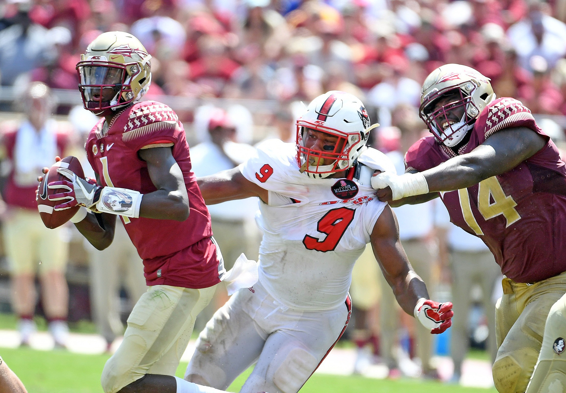 Bradley Chubb Earns ACC Defensive Lineman of the Week