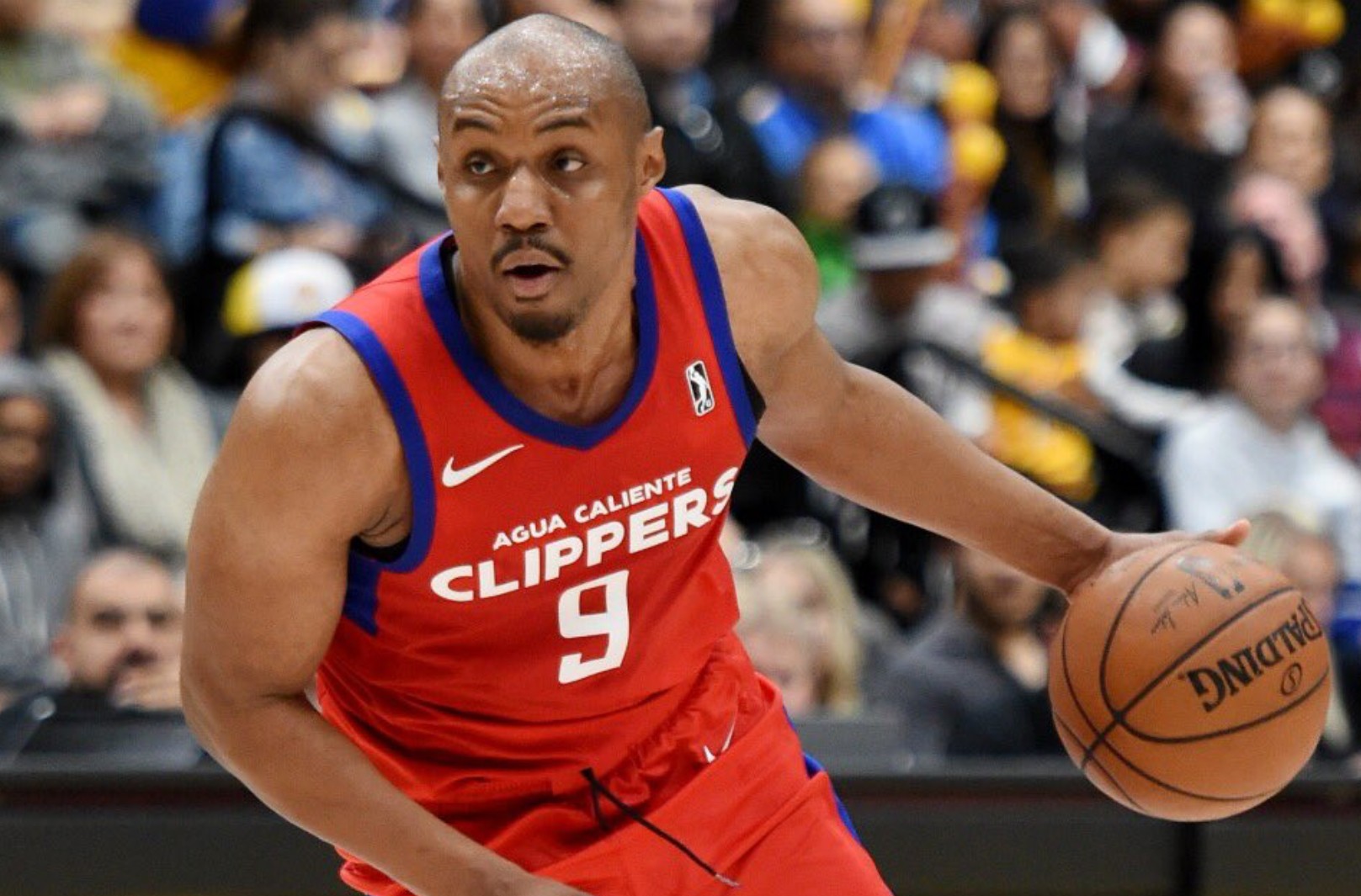 CJ Williams Earns G-League Sportsmanship Award