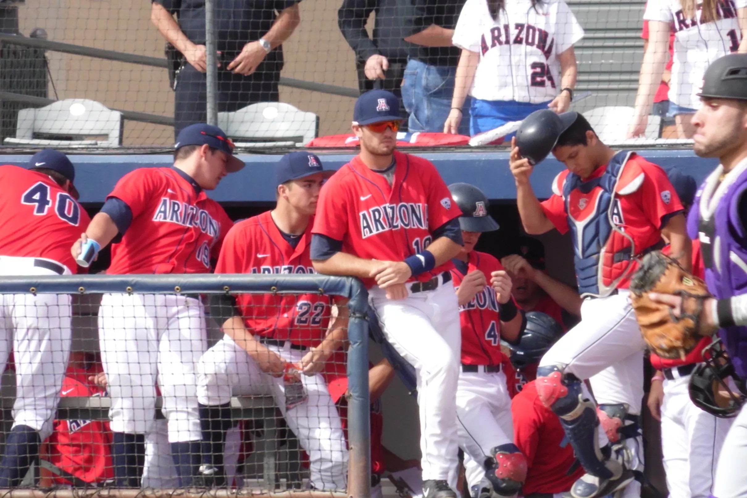 Previewing the 2019 Arizona baseball season