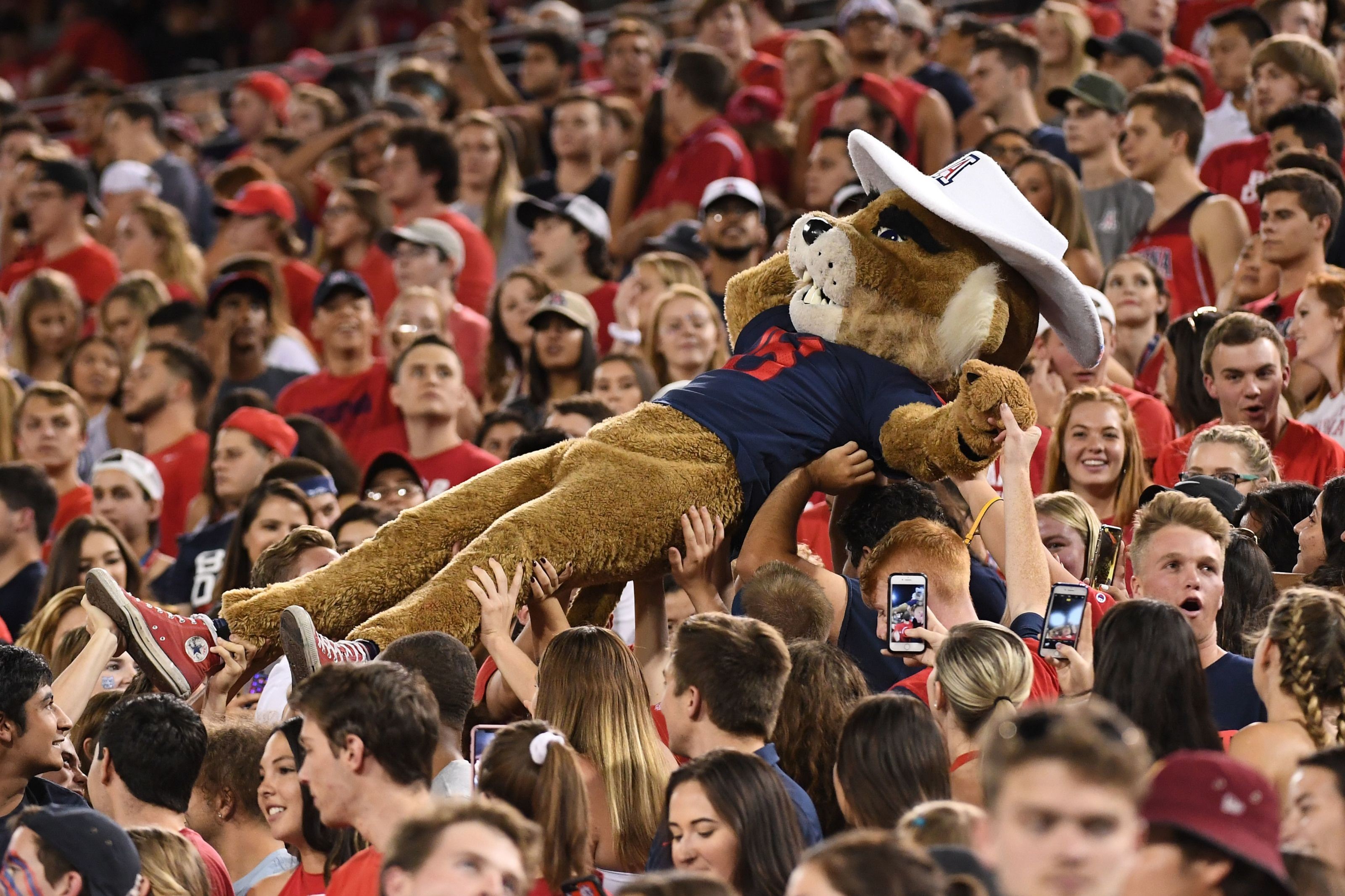 Arizona Athletics: How to convert your significant other to a Wildcats fan