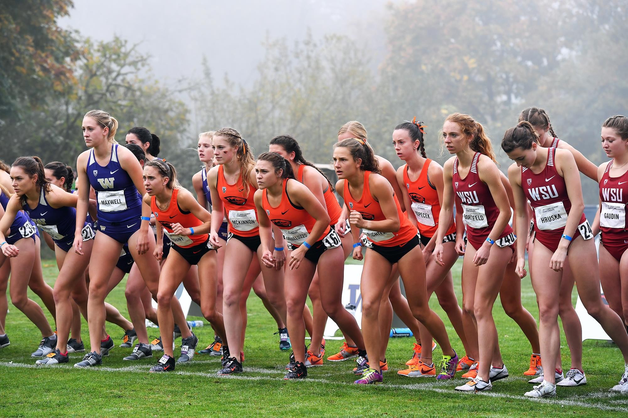 Beavers head to Seattle for NCAA West Regional