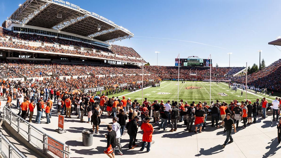 Welcome to Beaver Nation