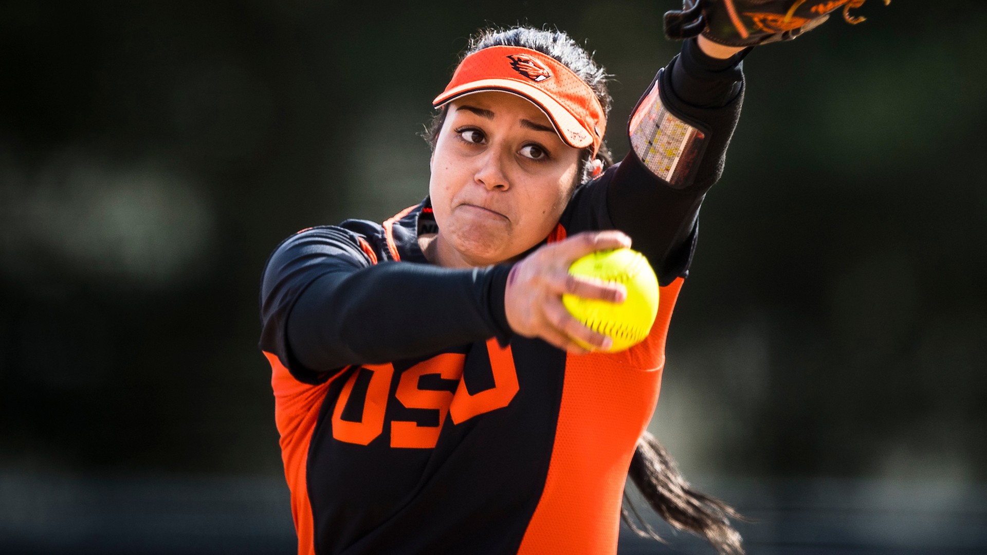 Pat Casey Named NCBWA Coach Of The Year