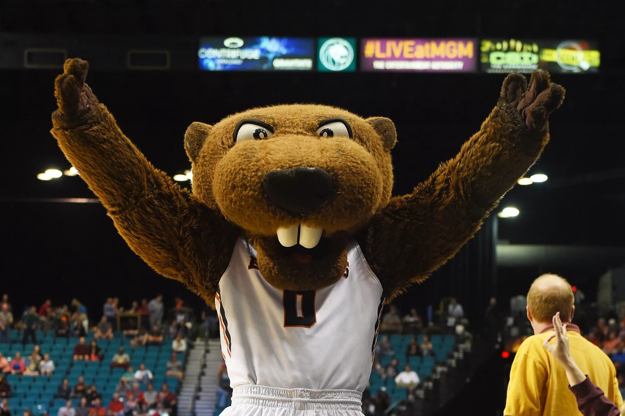 Beavers Hunt Down Cougars in Second Half to Win 71-53