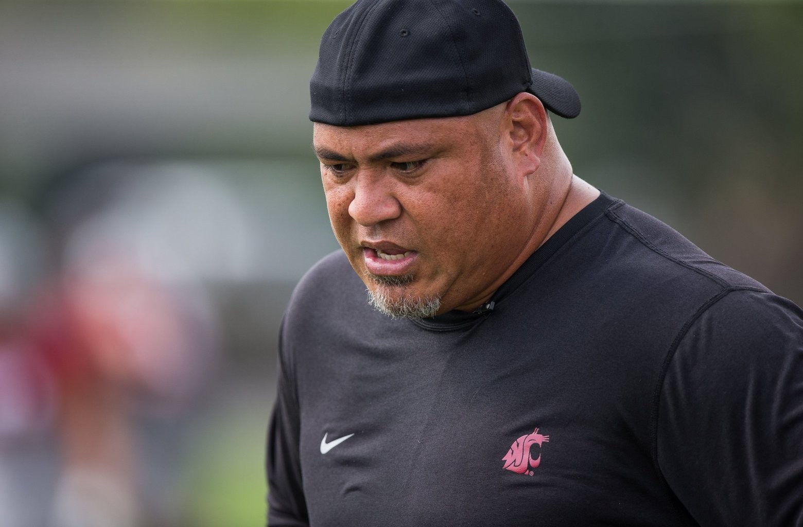 From WSU to Oregon, Joe Salave’a’s Polynesian pipeline is being felt ...