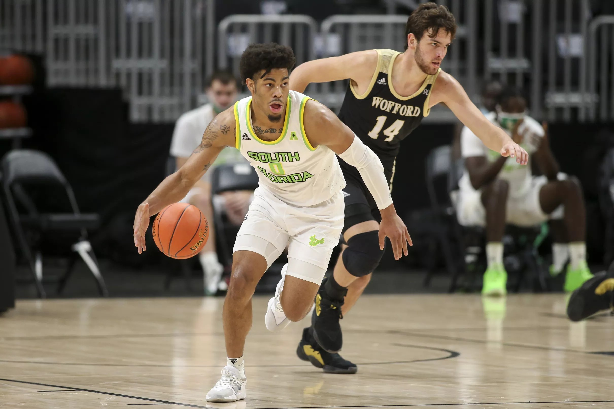 David Collins Named AAC Men’s Basketball Player of the Week; USF ...