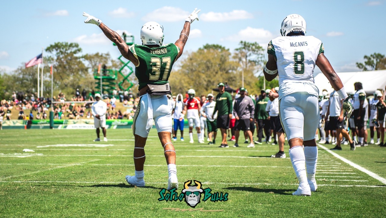 #BullSpring2018: USF Spring Game 2018 Photo Montage ReCap by Dennis Akers