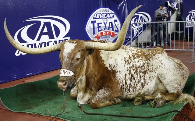 Bevo Beat: Bevo Beat has moved