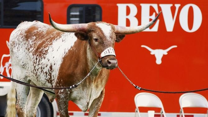 Bevo Beat: Bevo Beat has moved