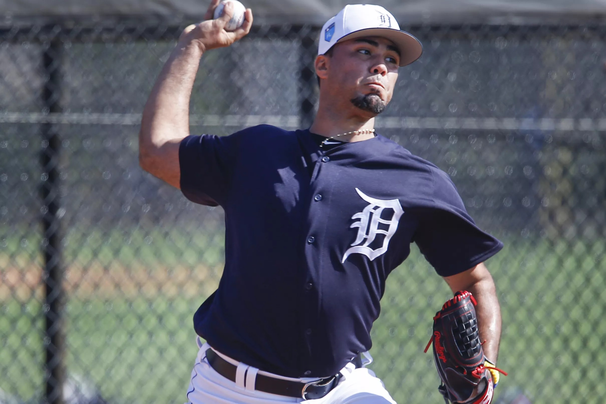 Tigers Prospect Notebook: Anthony Castro illustrates the Tigers’ system ...