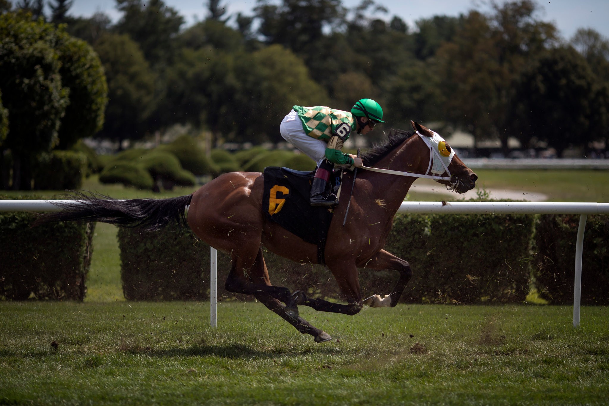 Jockey Robbie Davis Now Welcomes Offspring Into the Saddle