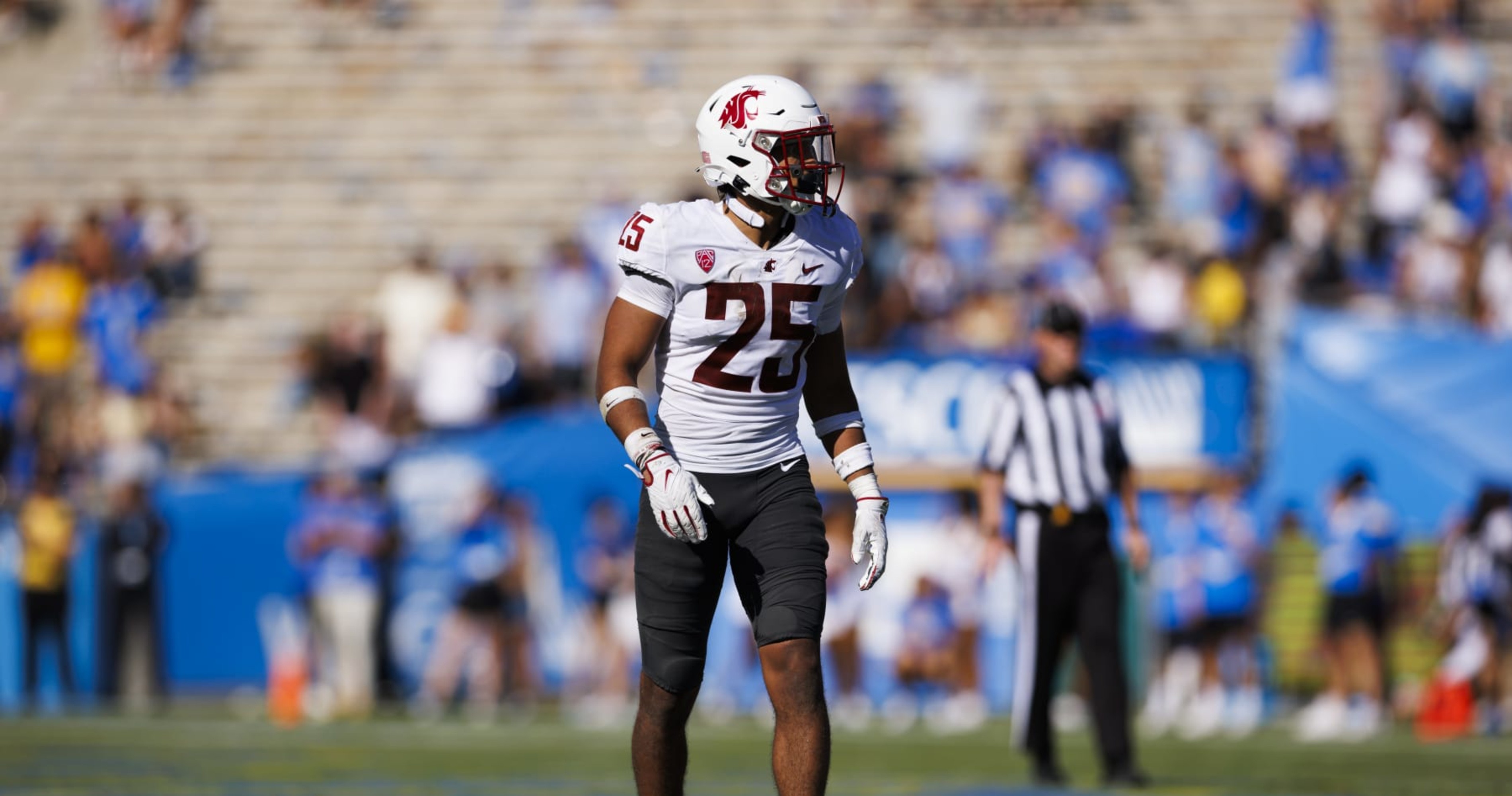 Jaden Hicks NFL Draft 2024: Scouting Report for Washington State Safety