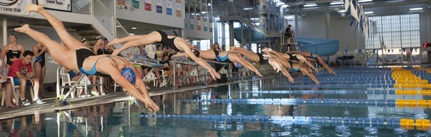BYU swim: Cougars compete in double dual against University of Utah and ...