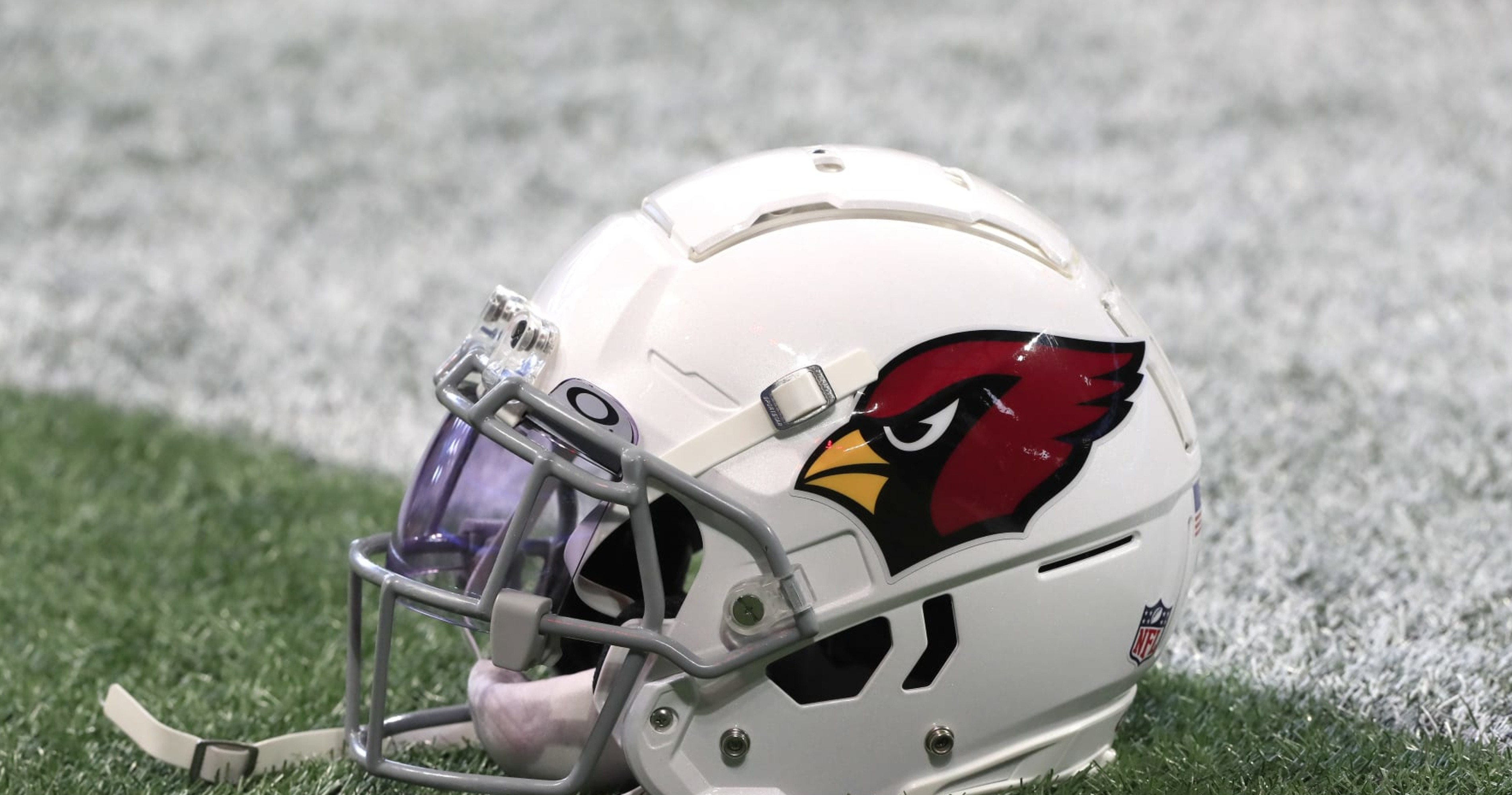 Cardinals Issue Statement on Bill Bidwill Jr.'s Wife Nicole's Arrest ...