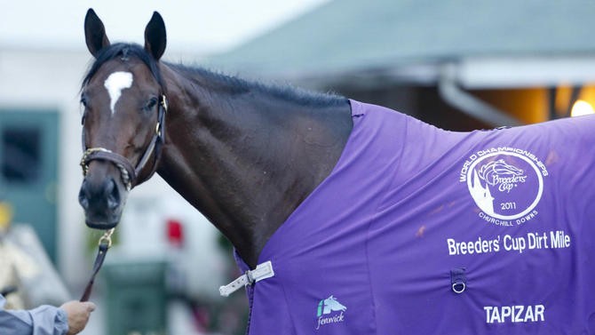 2017 Belmont predictions: Expert who has nailed nine straight Derbys ...