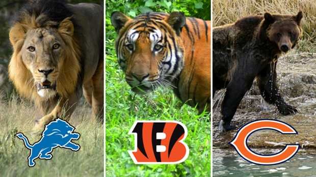 NFL animal power rankings: Fear the felines or the angry birds?