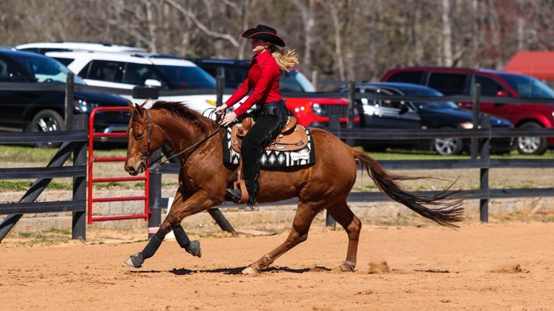 SEC Equestrian Riders of the Month