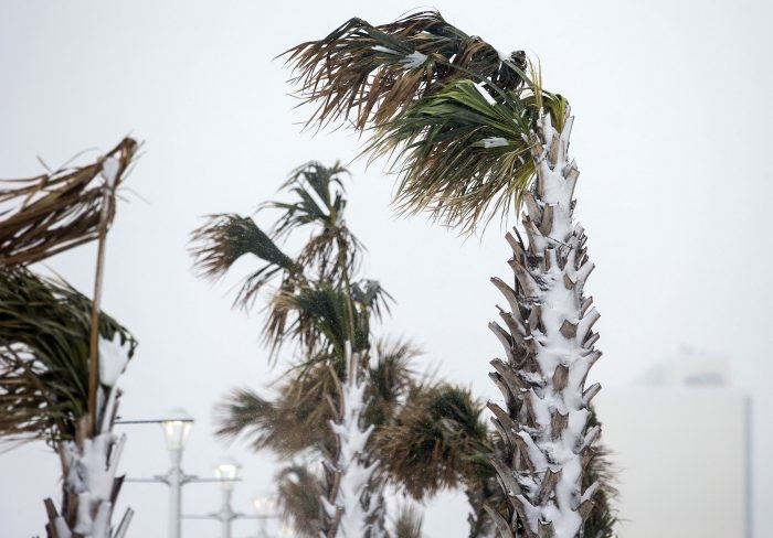 Snow day (or, at LSU, Sneaux Day): Winter comes to SEC territory