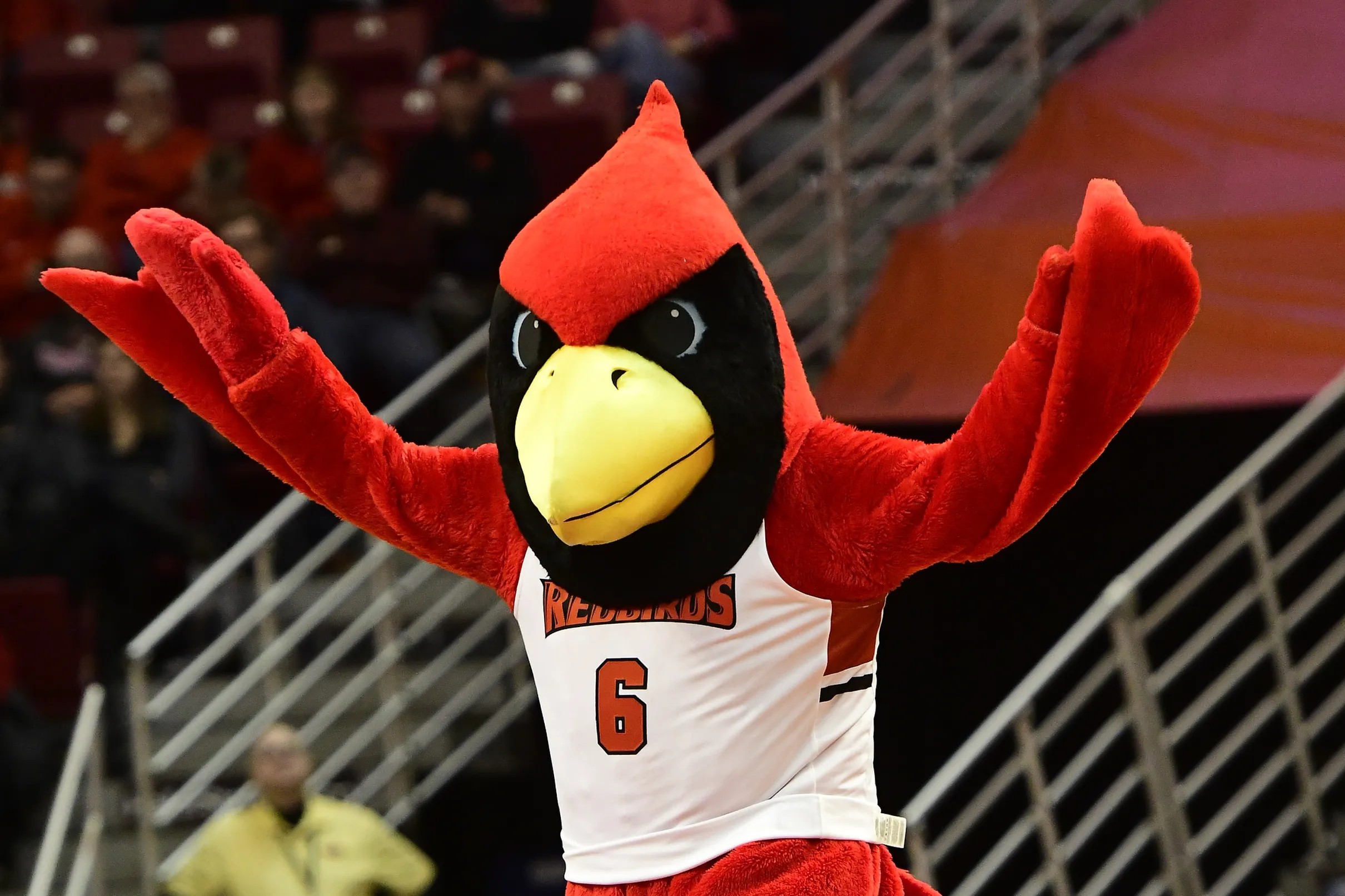 Sarah Kushner Transfers To Marquette