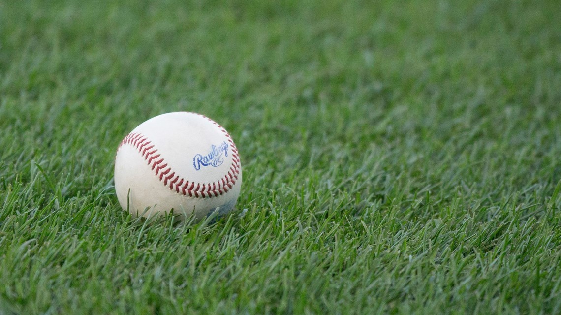 Sign Up for Winter Baseball Camps