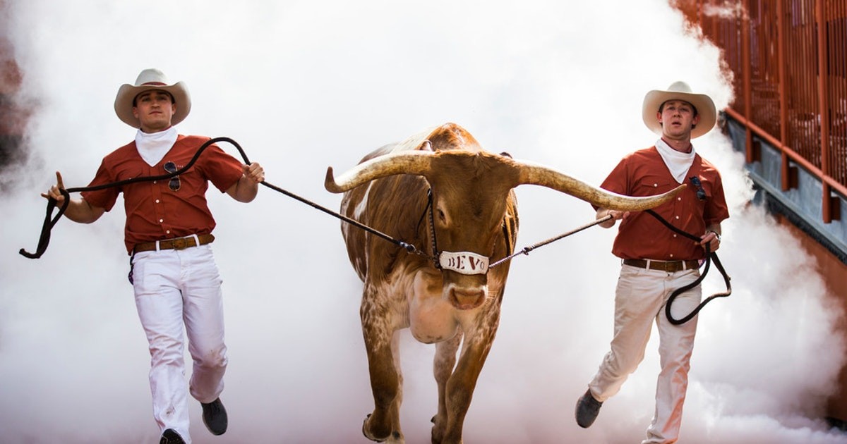 Having a cow! Bevo's encounter with Uga foreshadowed Texas' first half ...