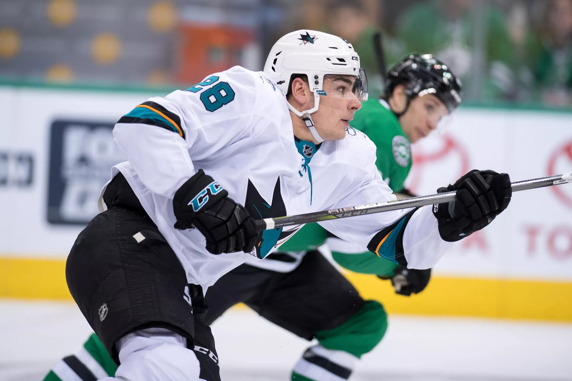 The predictions and realities of Timo Meier