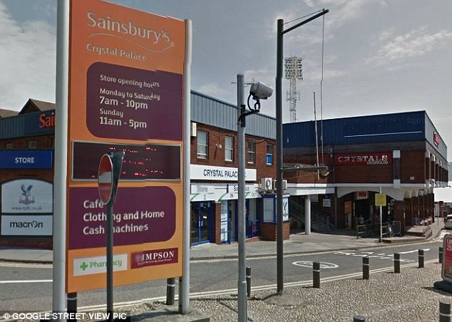 Crystal Palace's plan for Selhurst Park redevelopment held up by ...