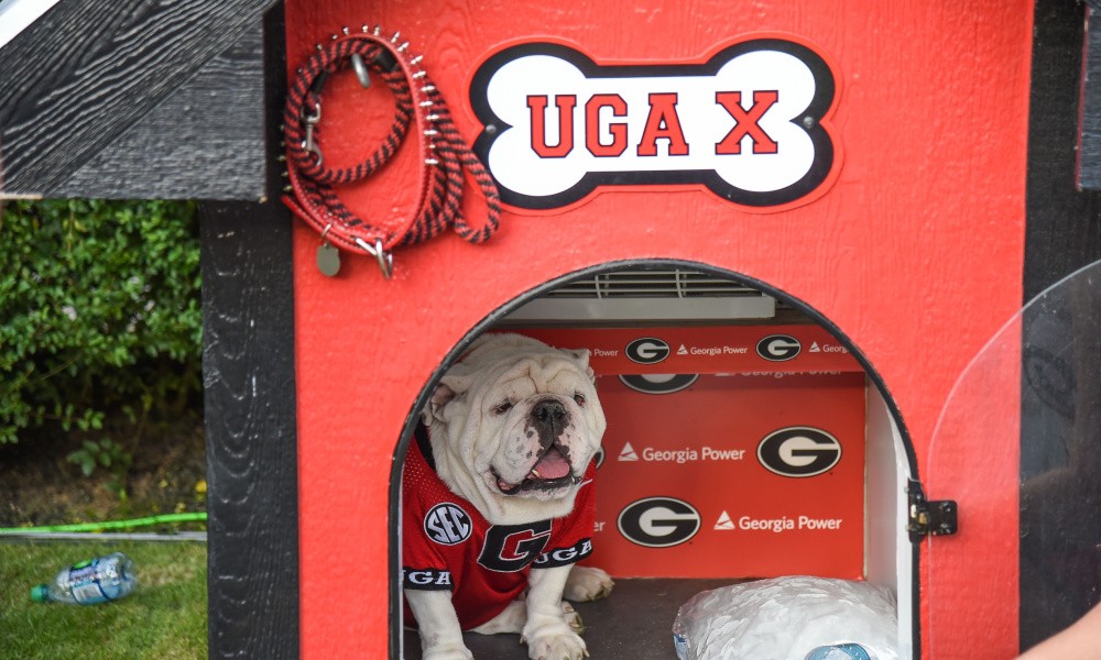 Watch: Georgia S&C coordinator Scott Sinclair's creative quarantine ...