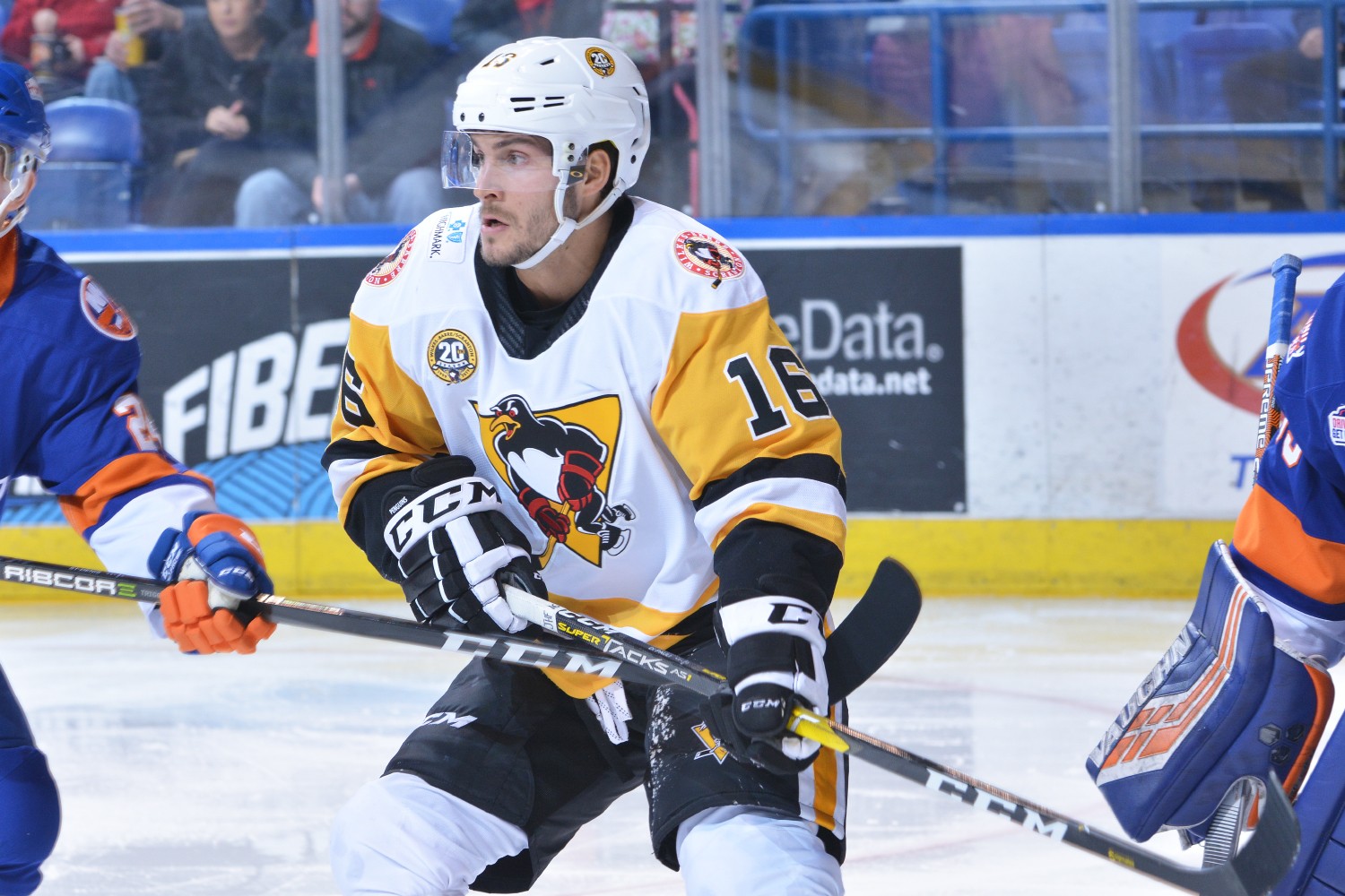 The 2019-20 prospectus: Thomas Di Pauli