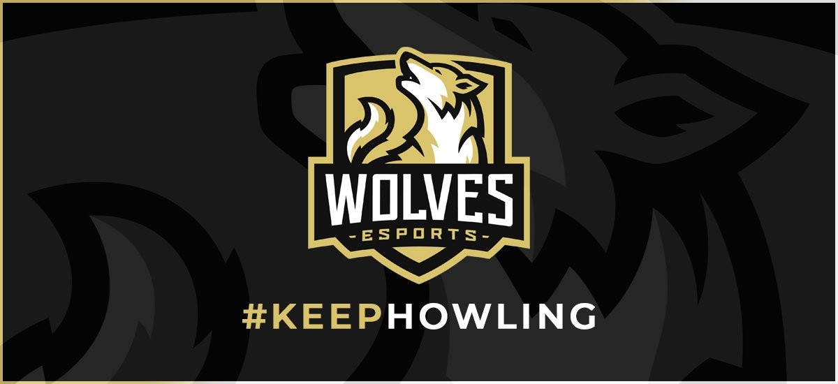 Wolves Esports announces plans to compete in the King Pro League